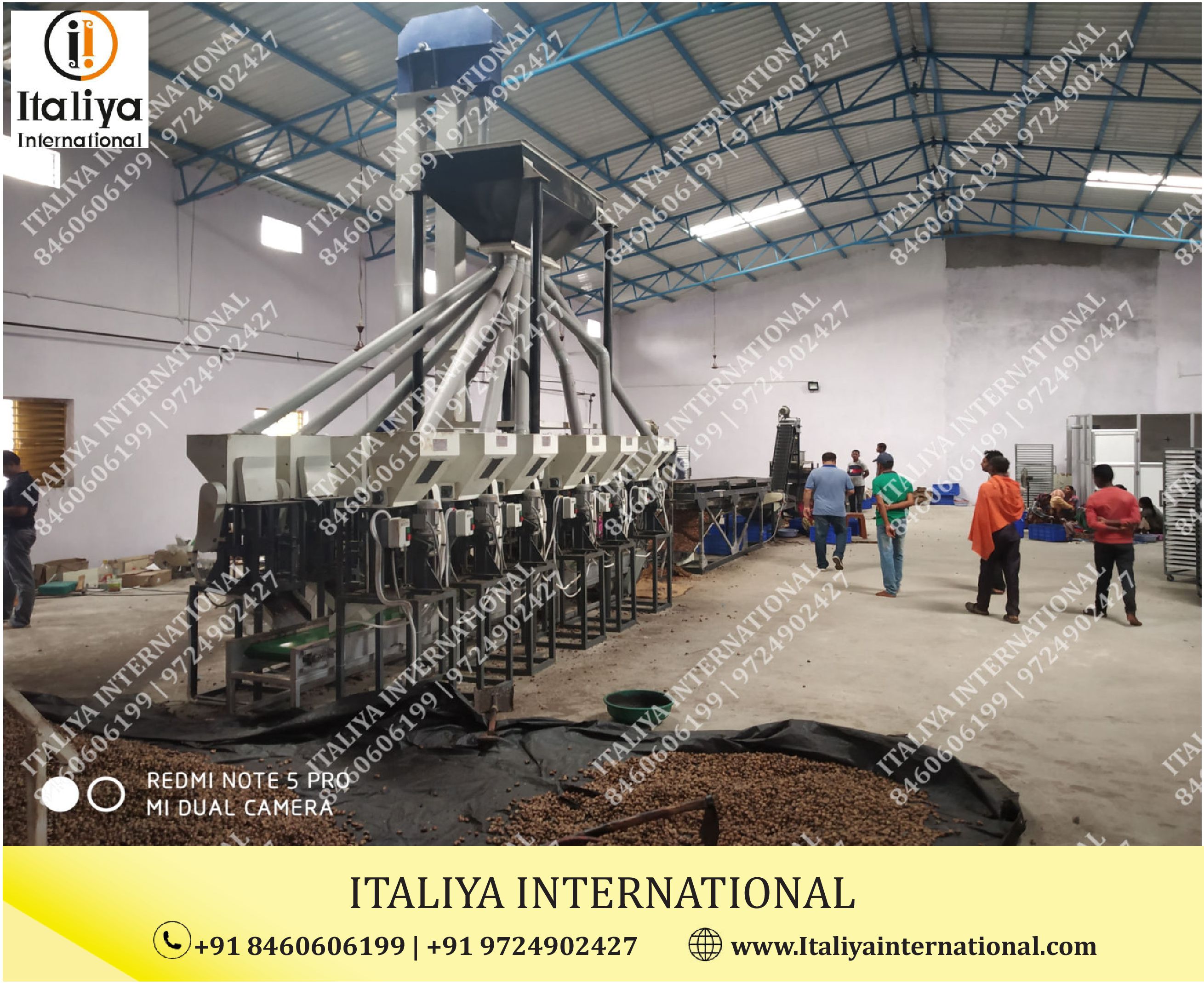 Fully automatic cashew processing machine